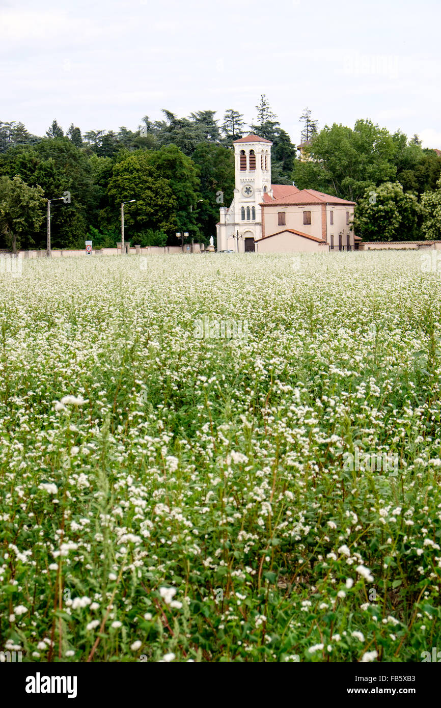 Abdon and sennen hi-res stock photography and images - Alamy