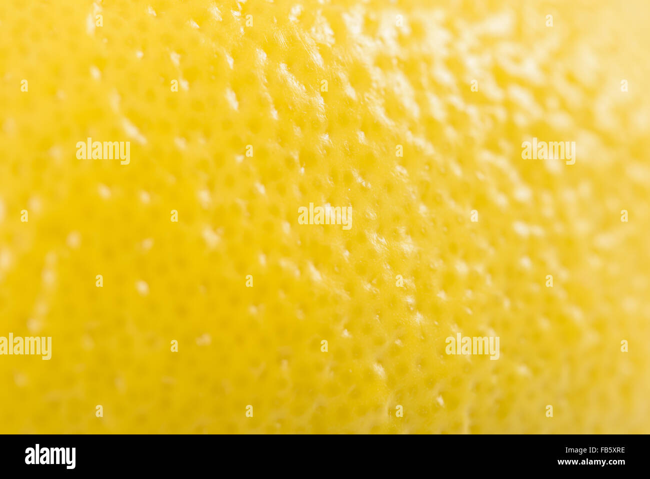 Lemon Skin Texture