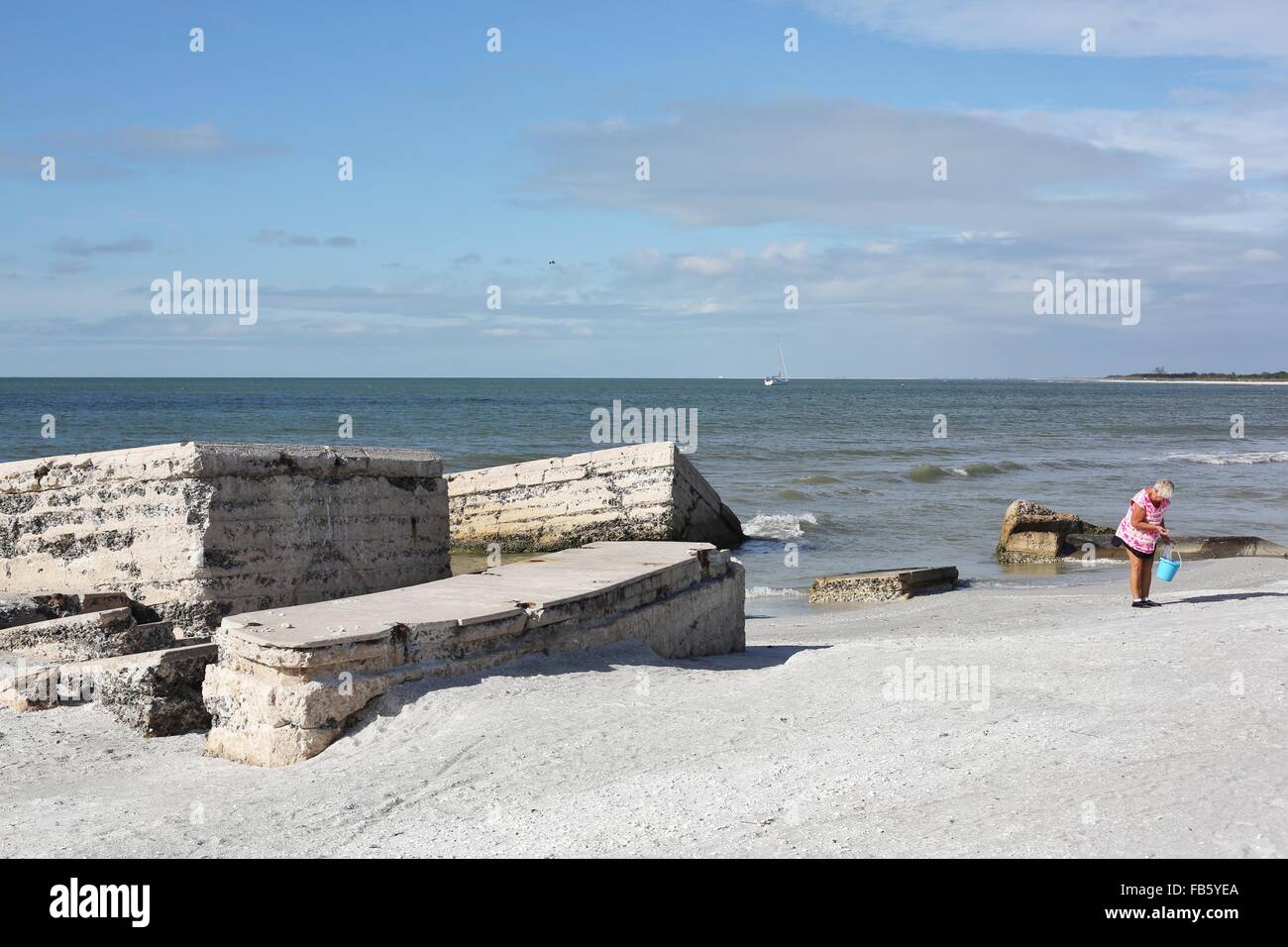 Collecting shells at the beach hi-res stock photography and images - Alamy