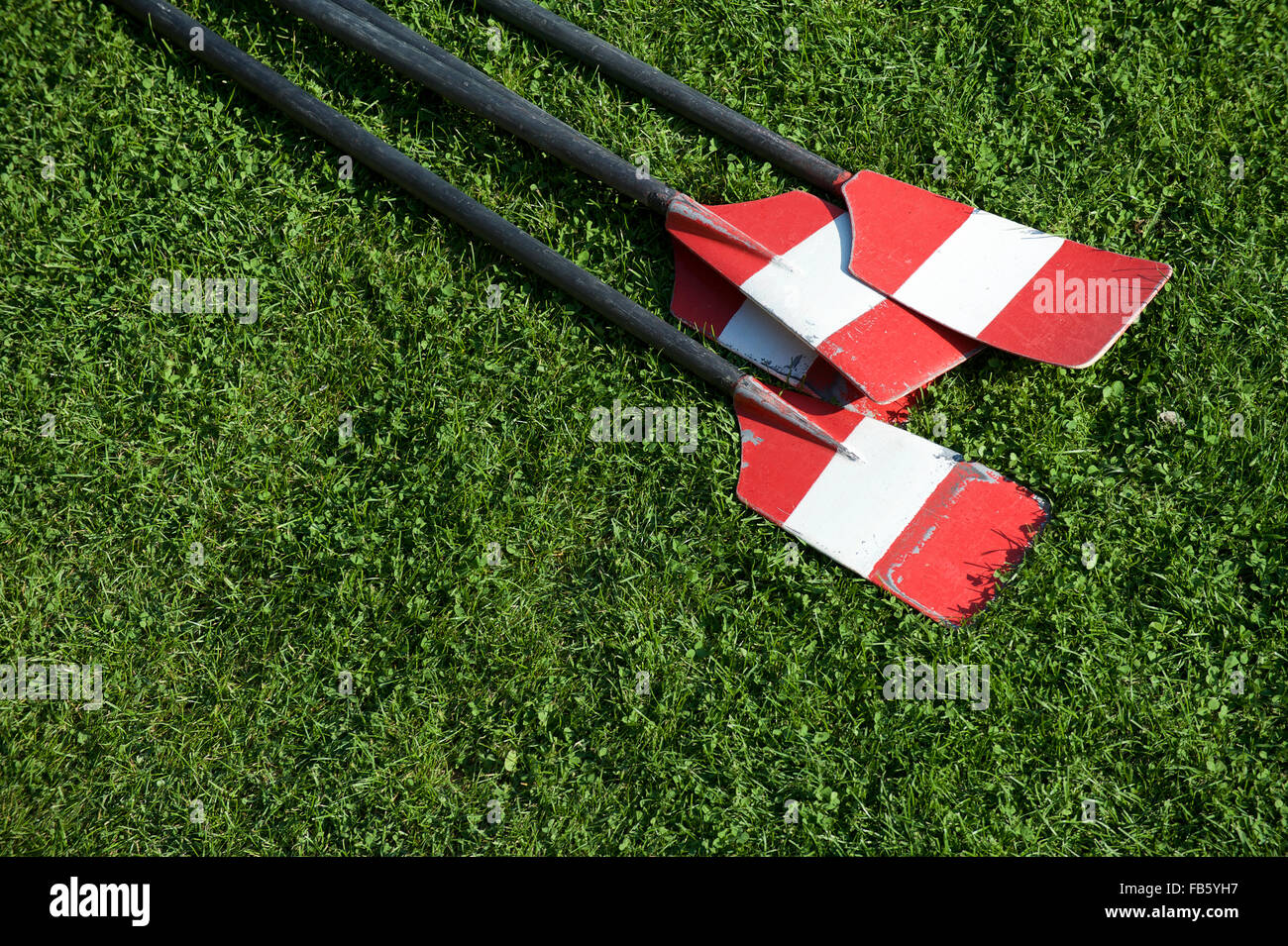 Rowing oars hi-res stock photography and images - Alamy