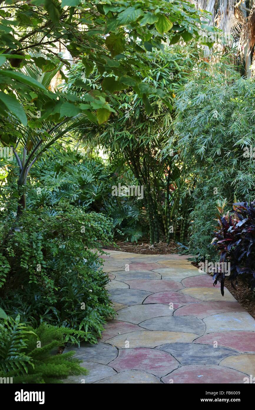 A colorful path through Sunken Gardens in St. Petersburg, Florida Stock ...