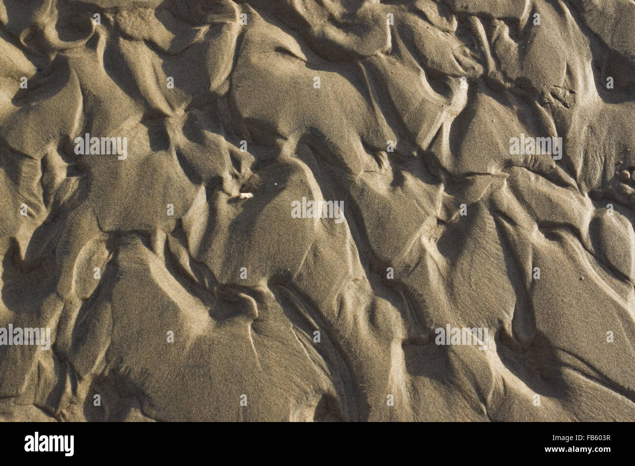 Wet sand at the beach with markings from the flow of water Stock Photo ...