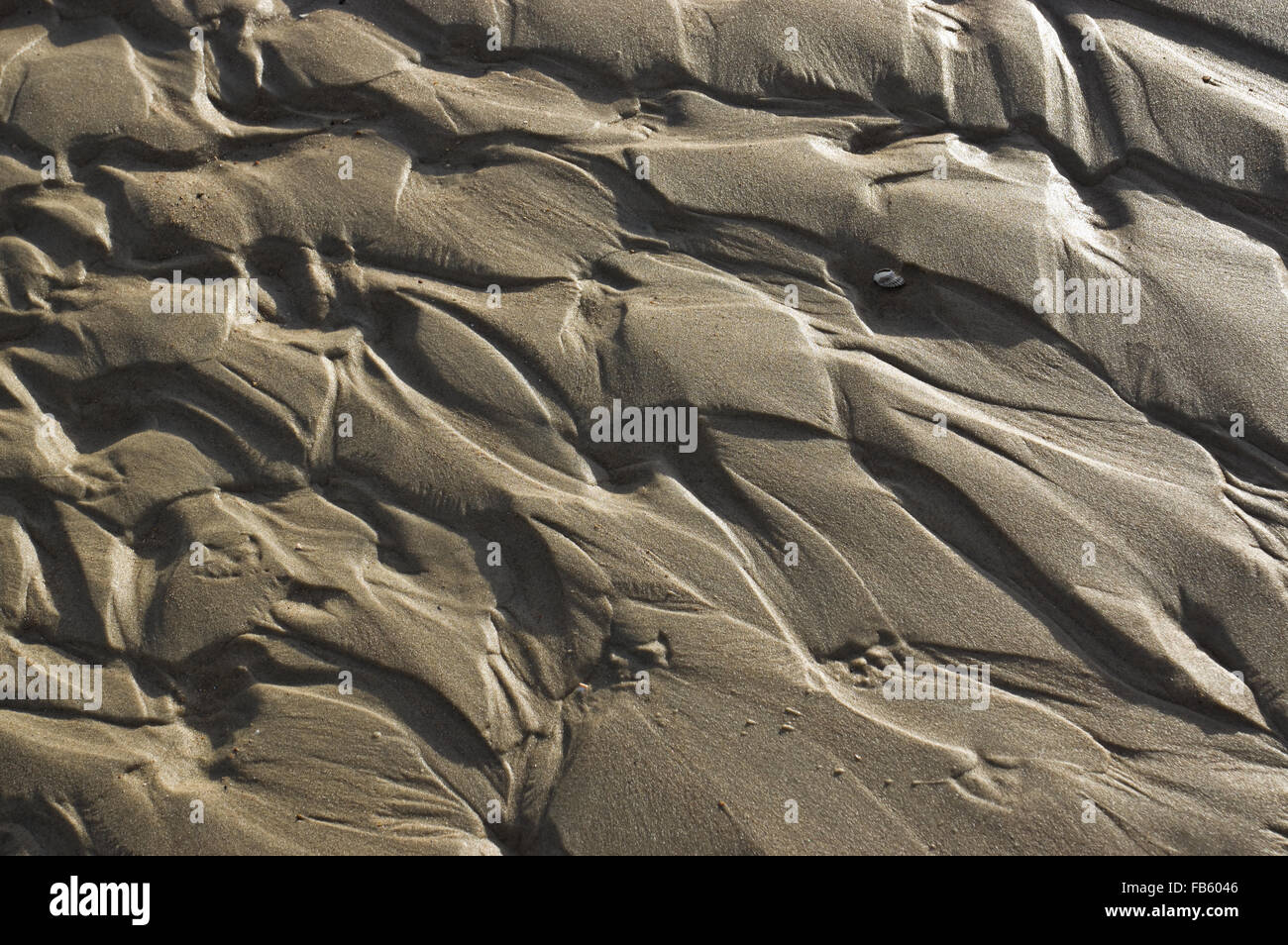 Wet sand at the beach with markings from the flow of water Stock Photo ...