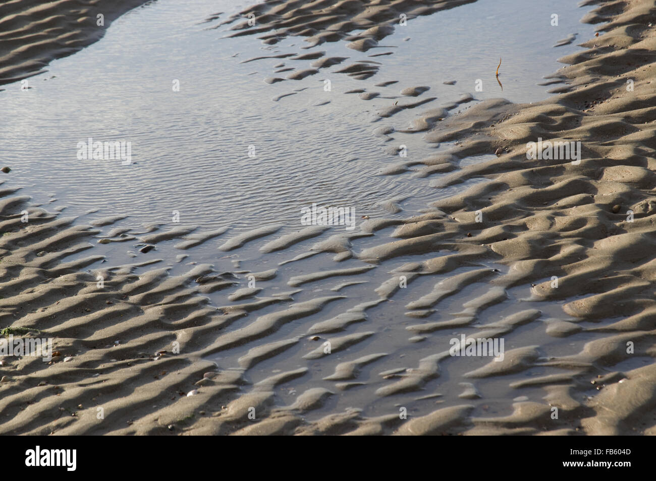 Pools of water in the sand Stock Photo - Alamy