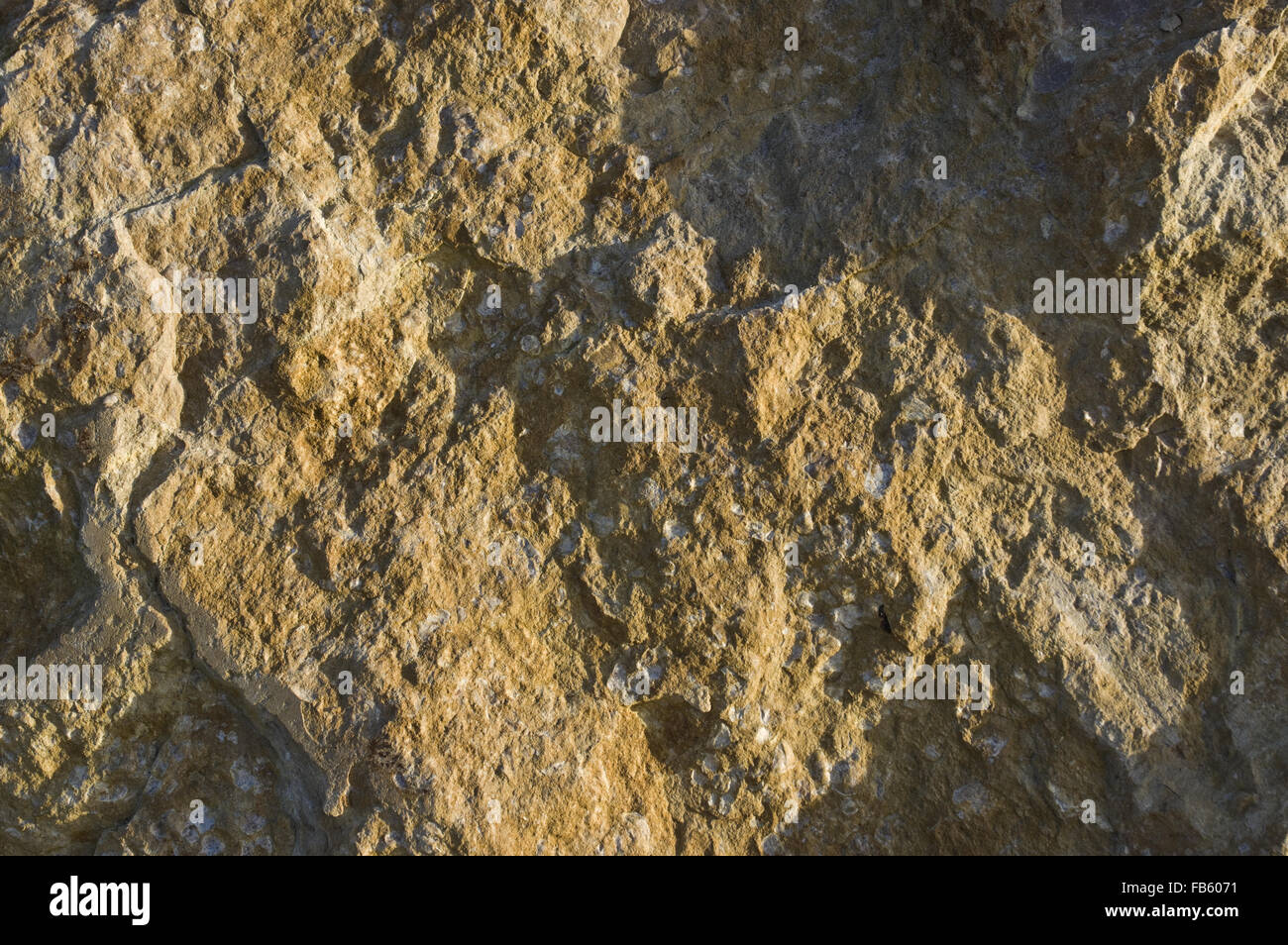 Rough rock surface lit by evening sunlight Stock Photo - Alamy