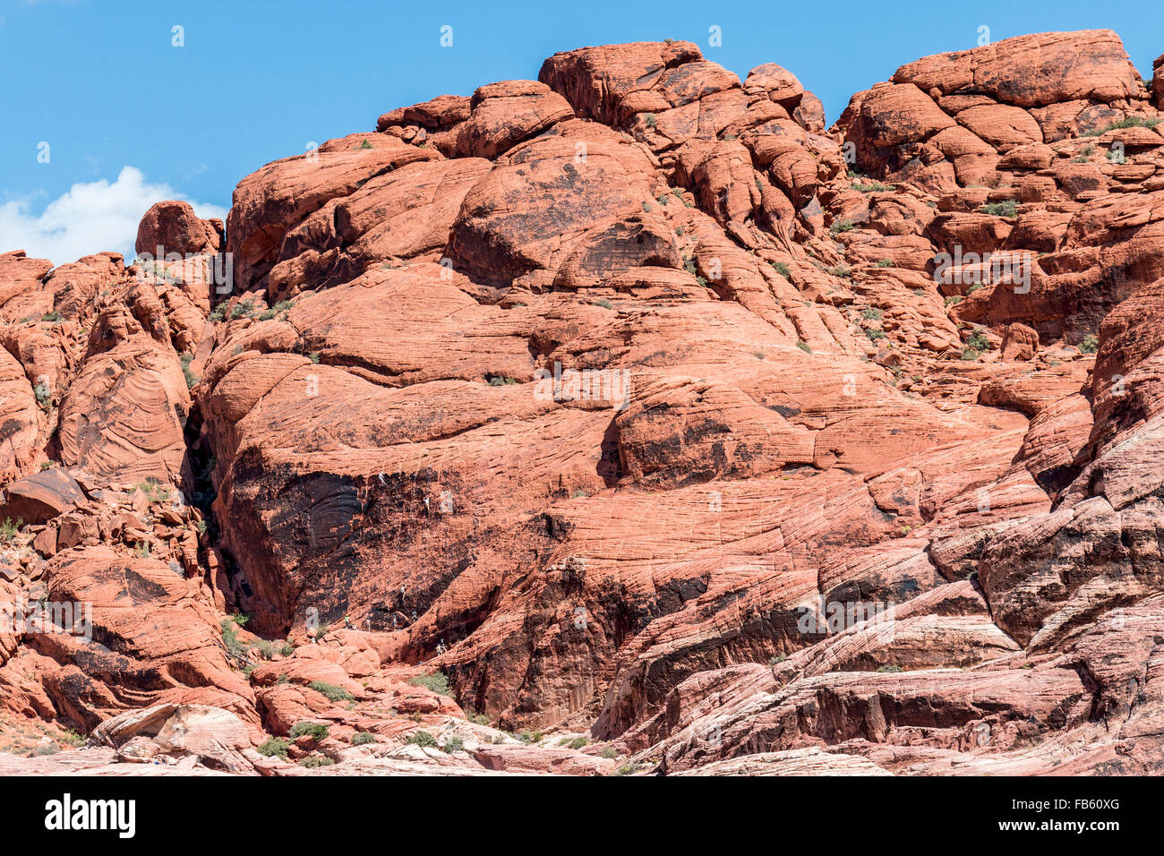 Climbers scale the red rock of Calico 1 area in the Calico Hills of Red ...