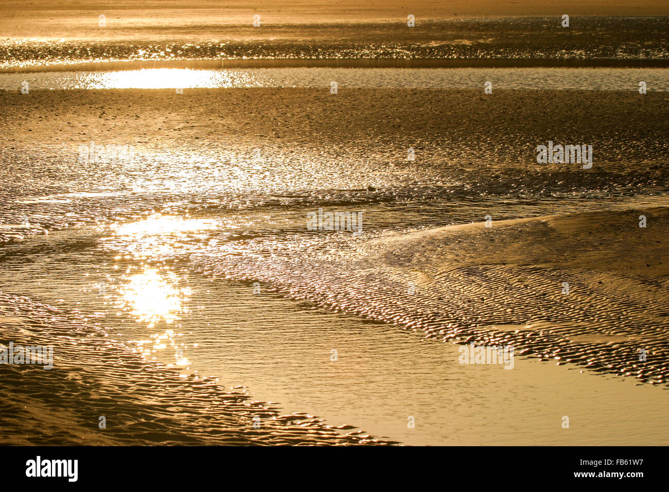 Sunset reflected in wet sand on sandy beach Stock Photo - Alamy