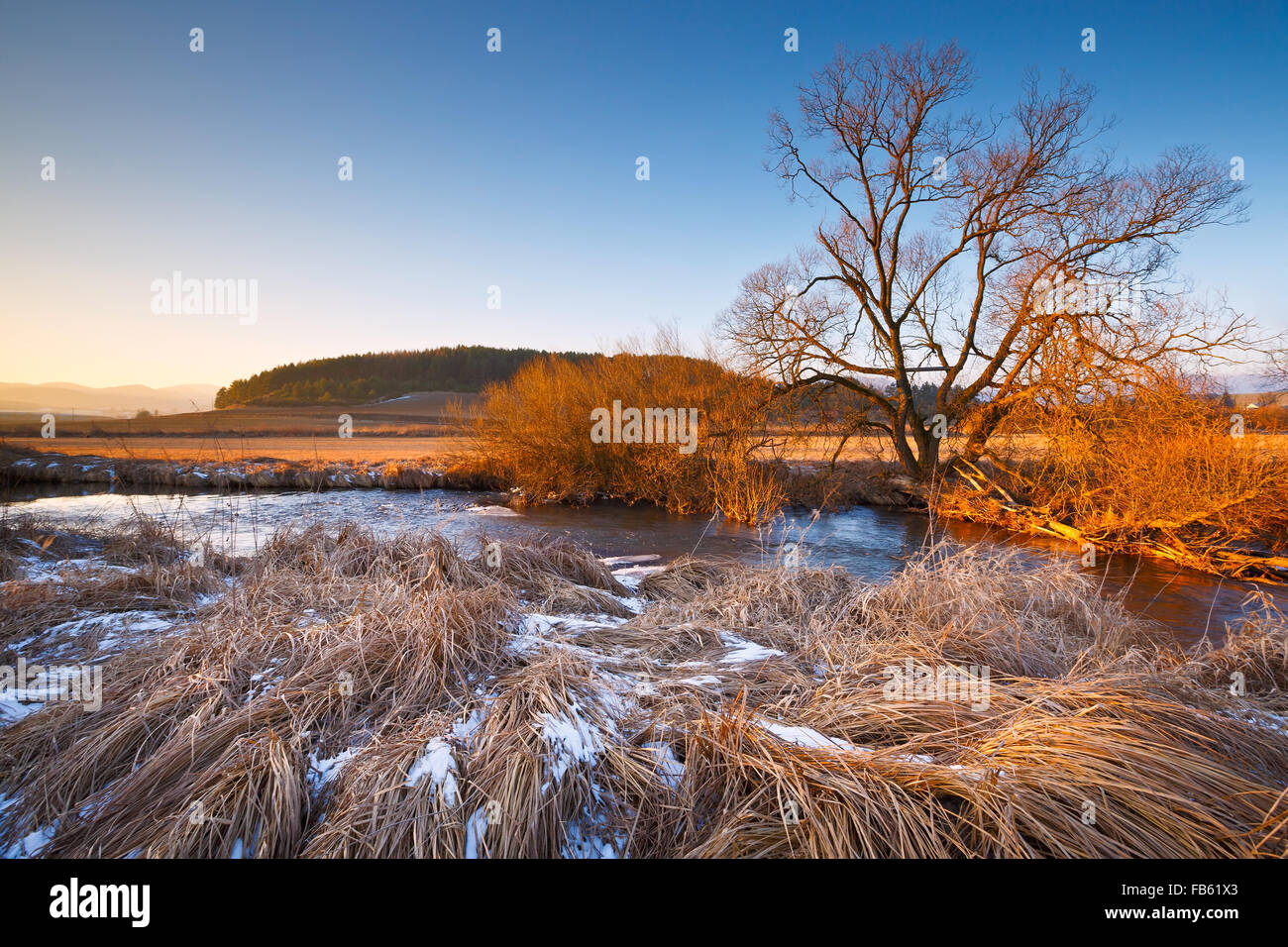 Nature reserve of river Turiec in Slovakia Stock Photo - Alamy
