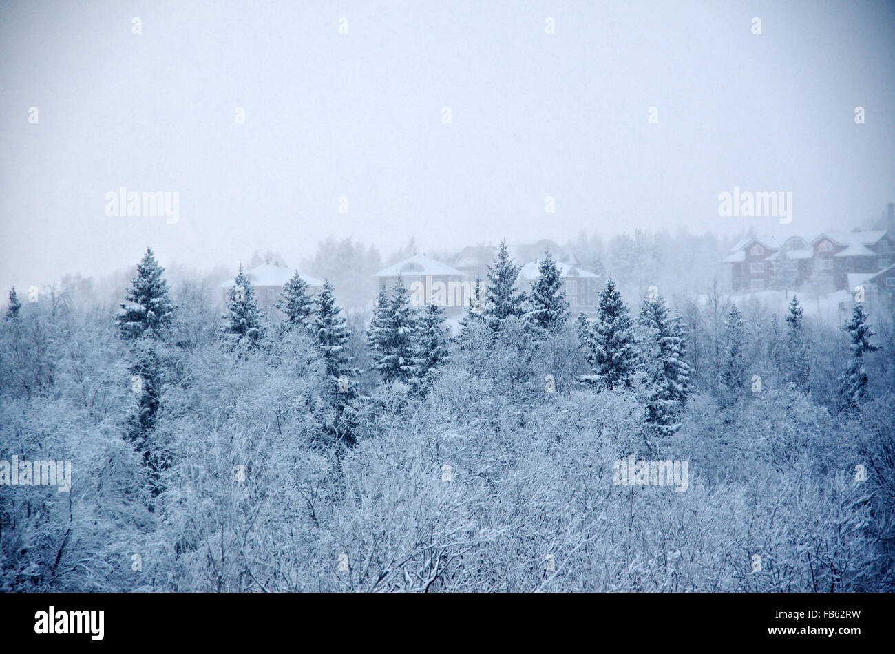 snowfall .Winter landscape.Winter beauty scene Stock Photo - Alamy
