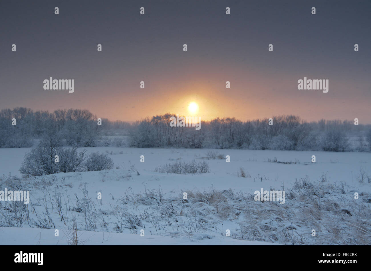 snowfall .Winter landscape.Winter beauty scene Stock Photo - Alamy