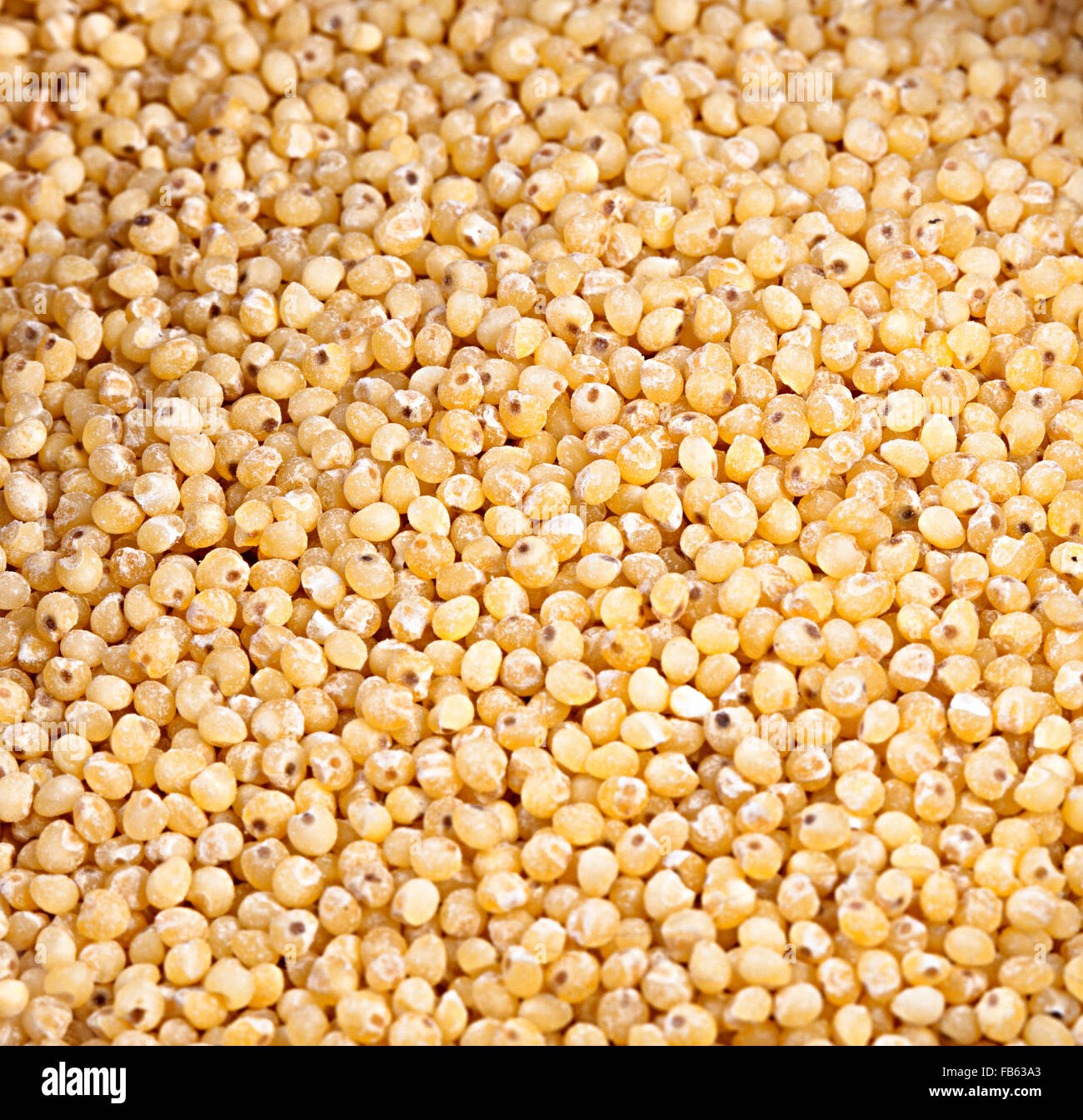 Millet seed hi-res stock photography and images - Alamy