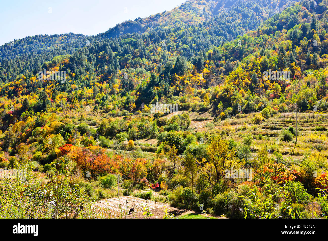 Foothills of Kawagebo Mountain Ranges,Naxi & Lisu Villages,Tacheng ...