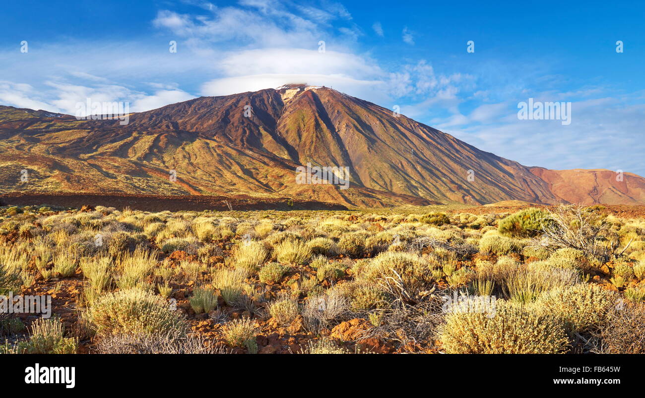 Tenerife mount teide view hi-res stock photography and images - Alamy