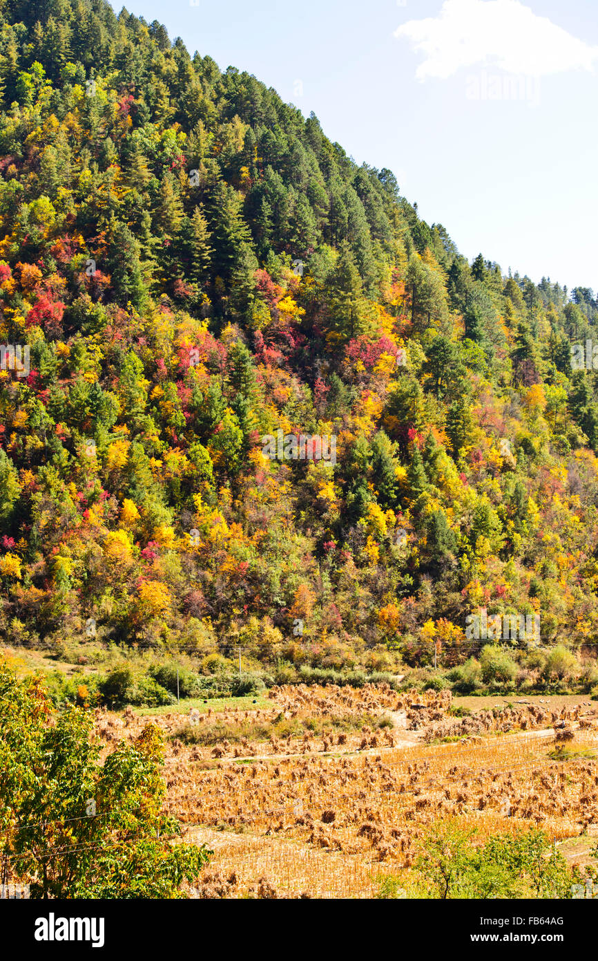 Foothills of Kawagebo Mountain Ranges,Naxi & Lisu Villages,Tacheng ...