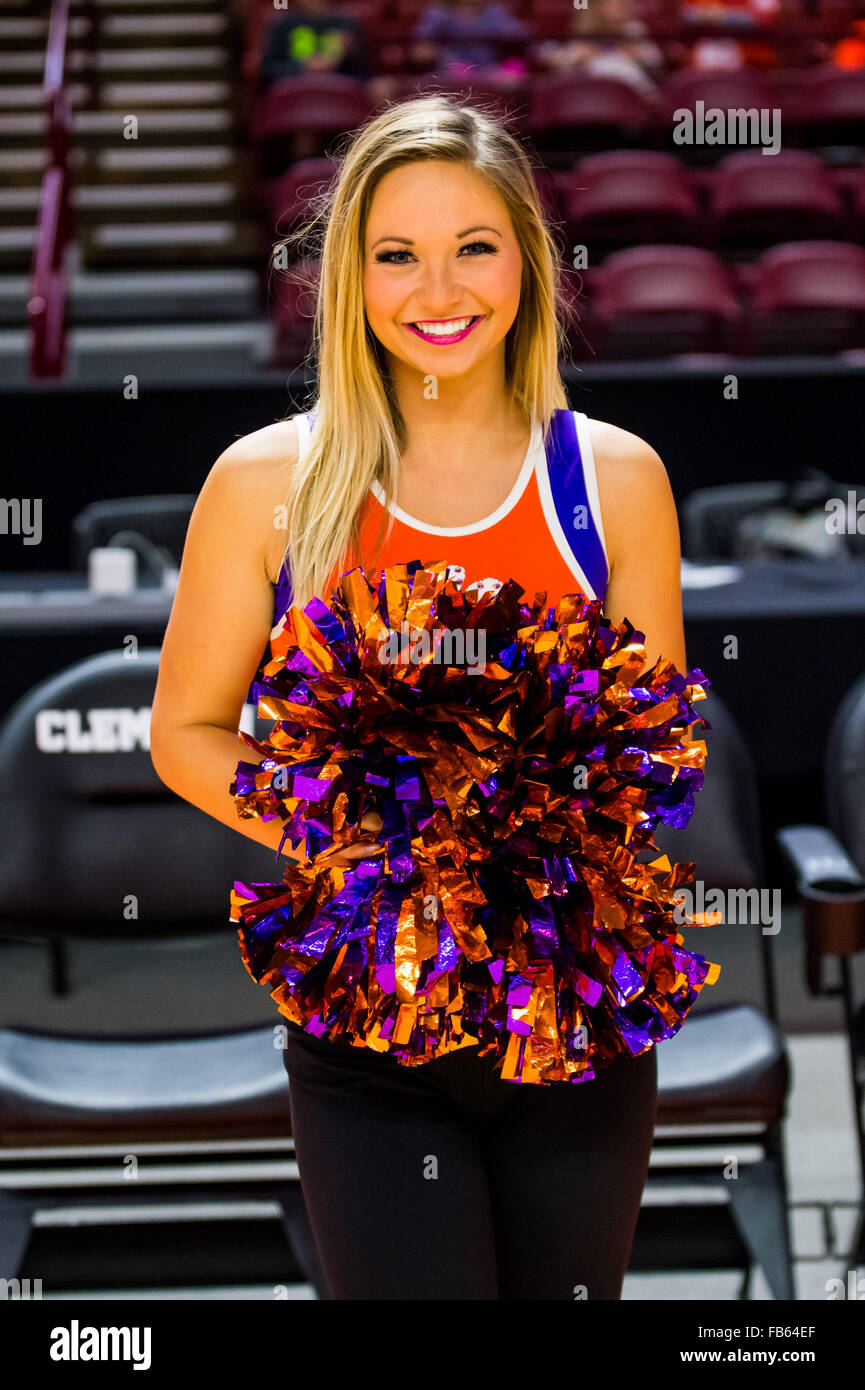 Clemson tigers rally cats during hi-res stock photography and images ...
