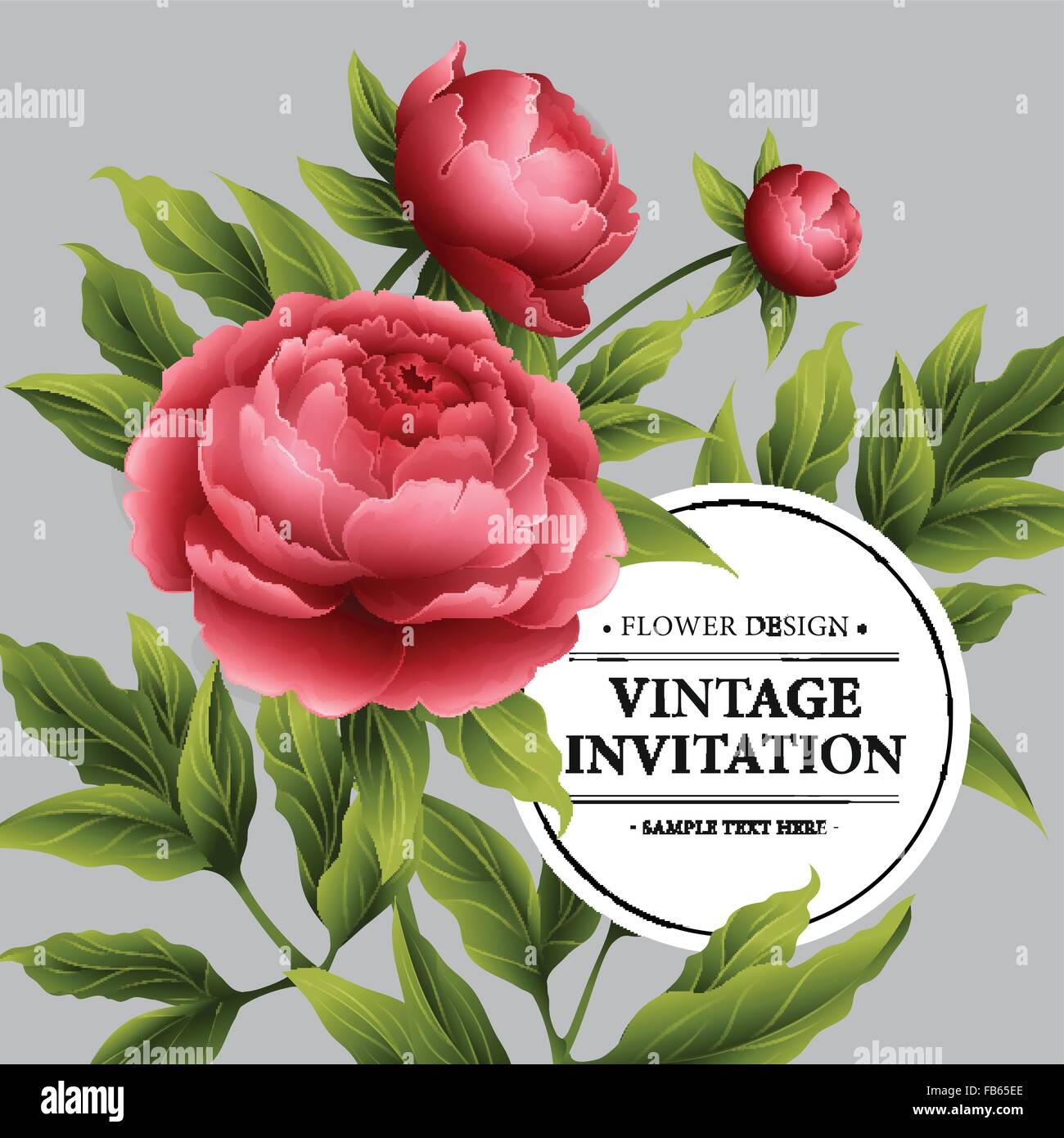 Luxurious peony flower and leaves greeting card. Vector illustration ...