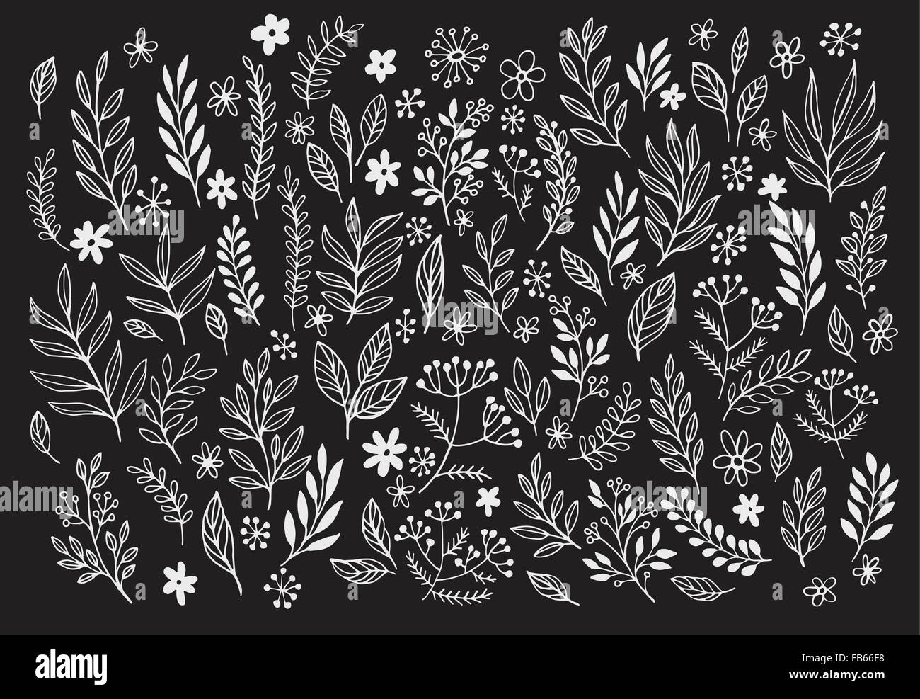 Hand drawn chalkboard design elements. Vector illustration Stock Vector Image & Art - Alamy