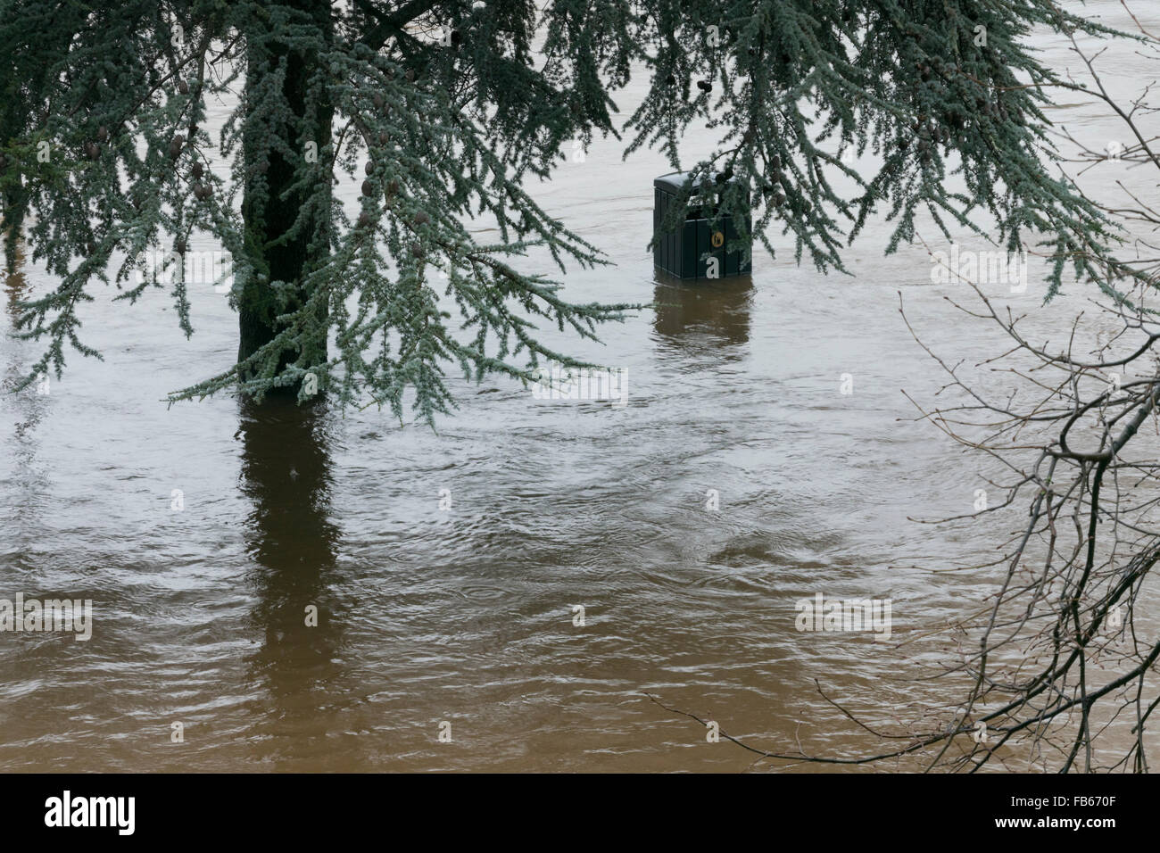 River Tay flooding in Norrie Miller Walkway, Perth Stock Photo - Alamy
