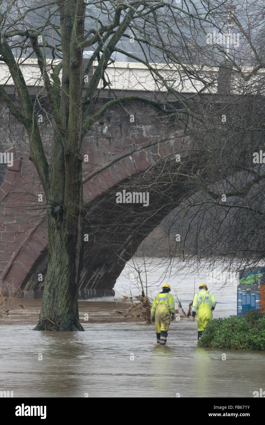 Electricity workers wade through flooding on North Inch, Perth Stock ...