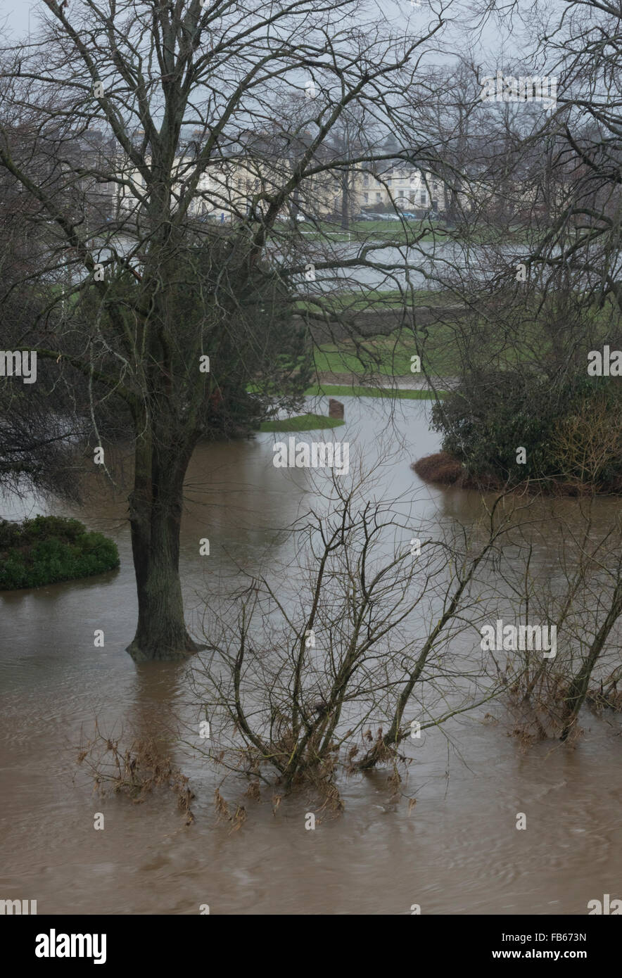 Flooding on North Inch, Perth Stock Photo - Alamy
