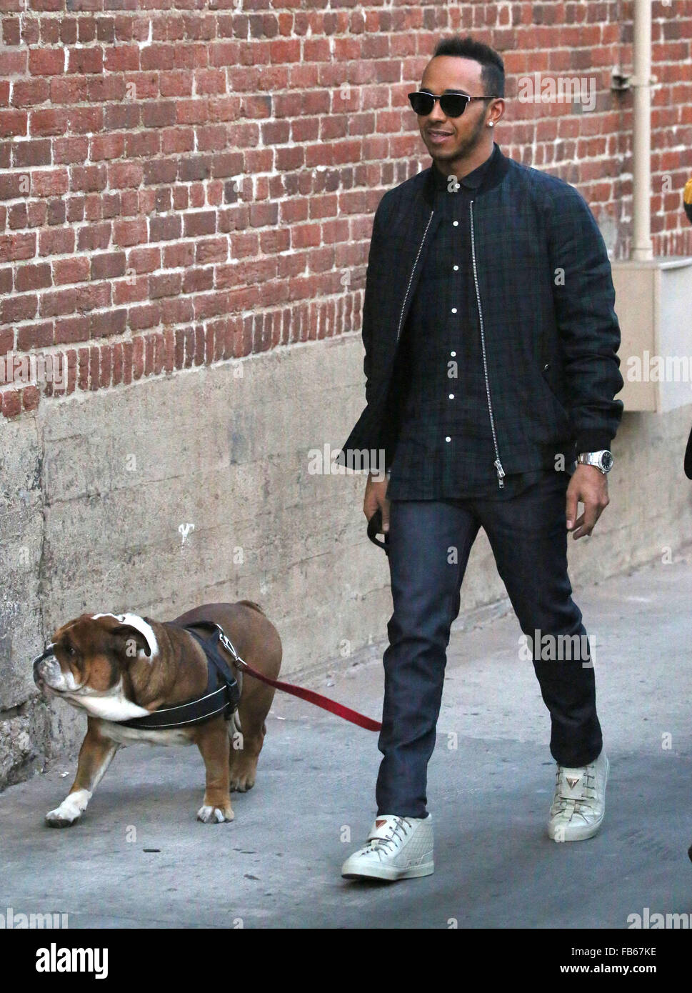 Lewis Hamilton and his bulldog Roscoe seen arriving at the ABC studios ...