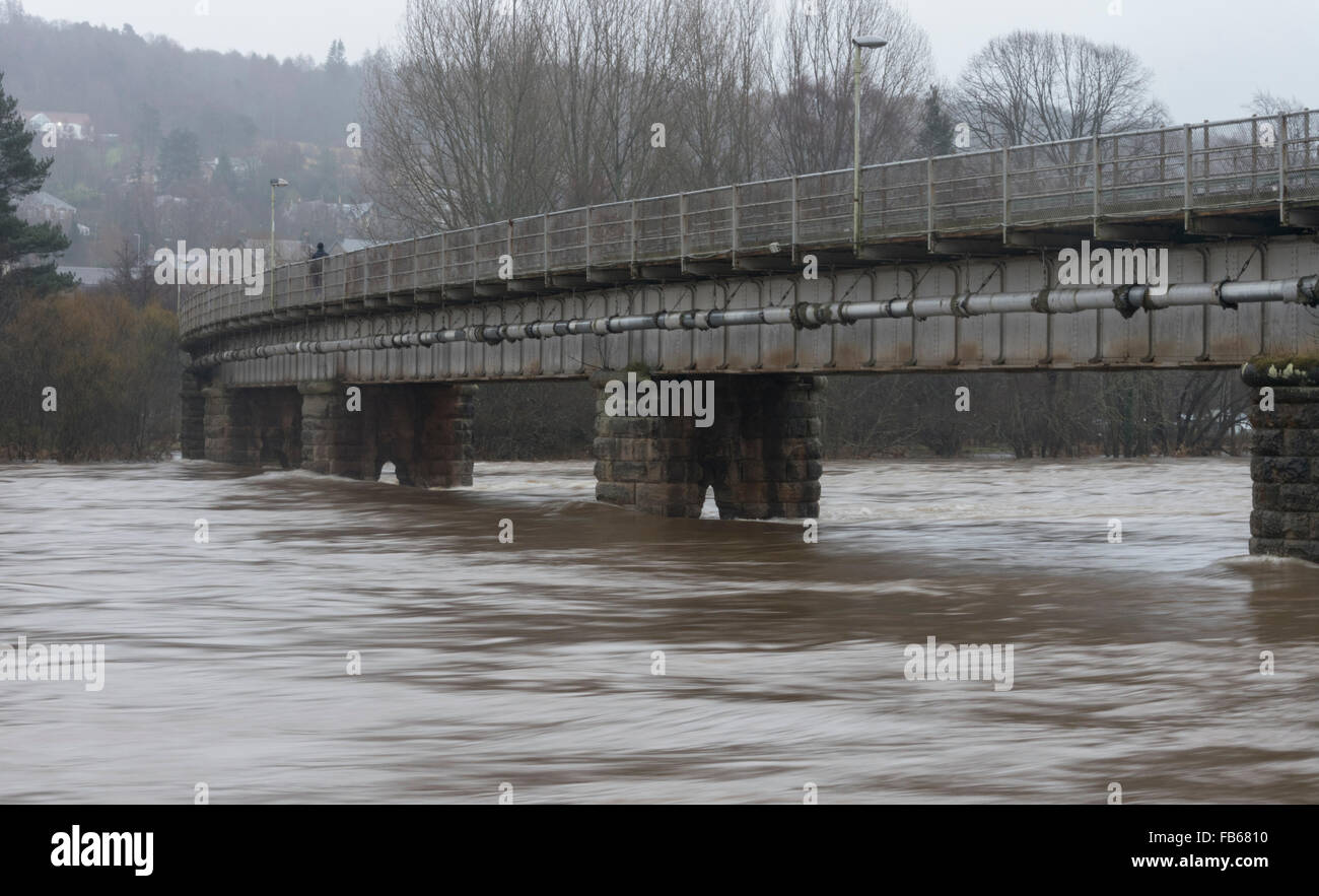 River tay moncrieffe island hi-res stock photography and images - Alamy