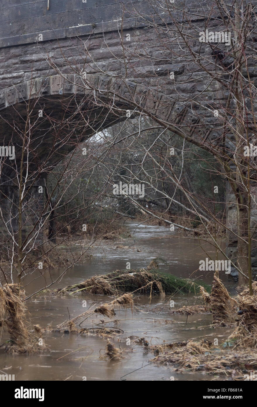 Moncrieffe Island under floodwater,Perth Stock Photo - Alamy