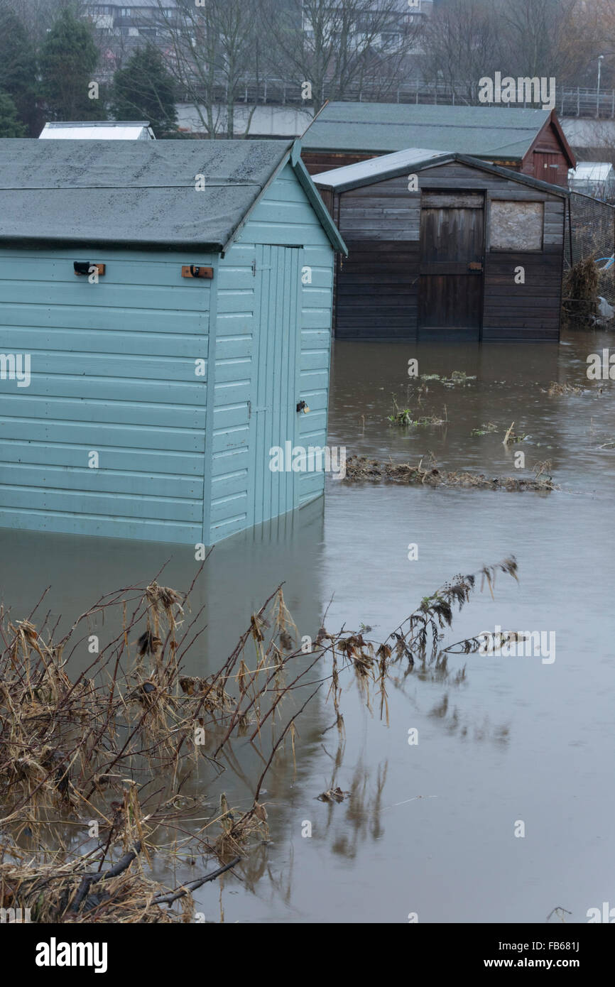 Flooding on allotments,Moncrieffe Island,Perth Stock Photo - Alamy