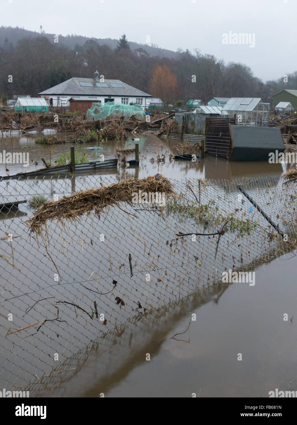 Flooding on allotments,Moncrieffe Island,Perth Stock Photo - Alamy