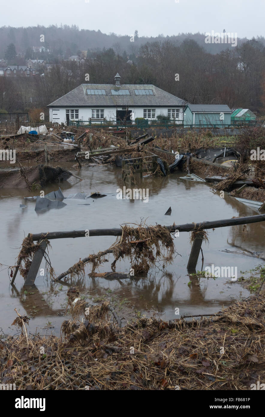 Flooding on allotments,Moncrieffe Island,Perth Stock Photo - Alamy