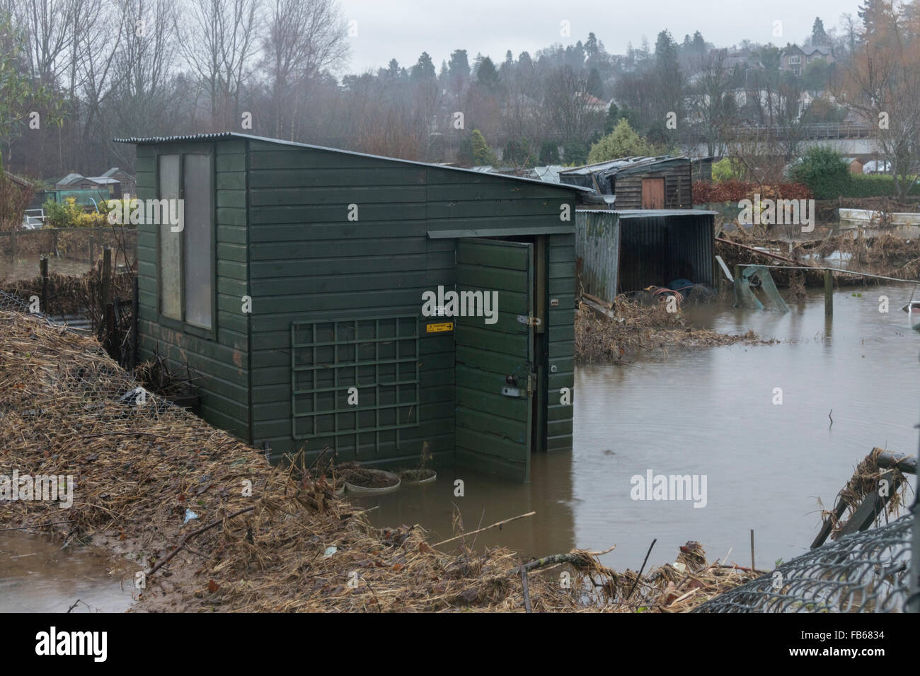 Flooding on allotments,Moncrieffe Island,Perth Stock Photo - Alamy
