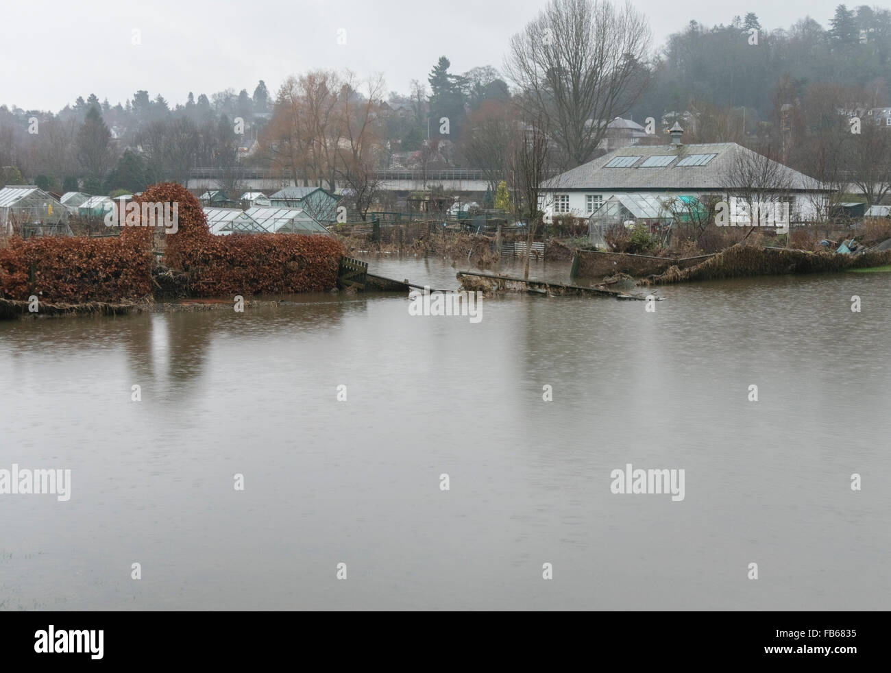 Flooding on allotments,Moncrieffe Island,Perth Stock Photo - Alamy