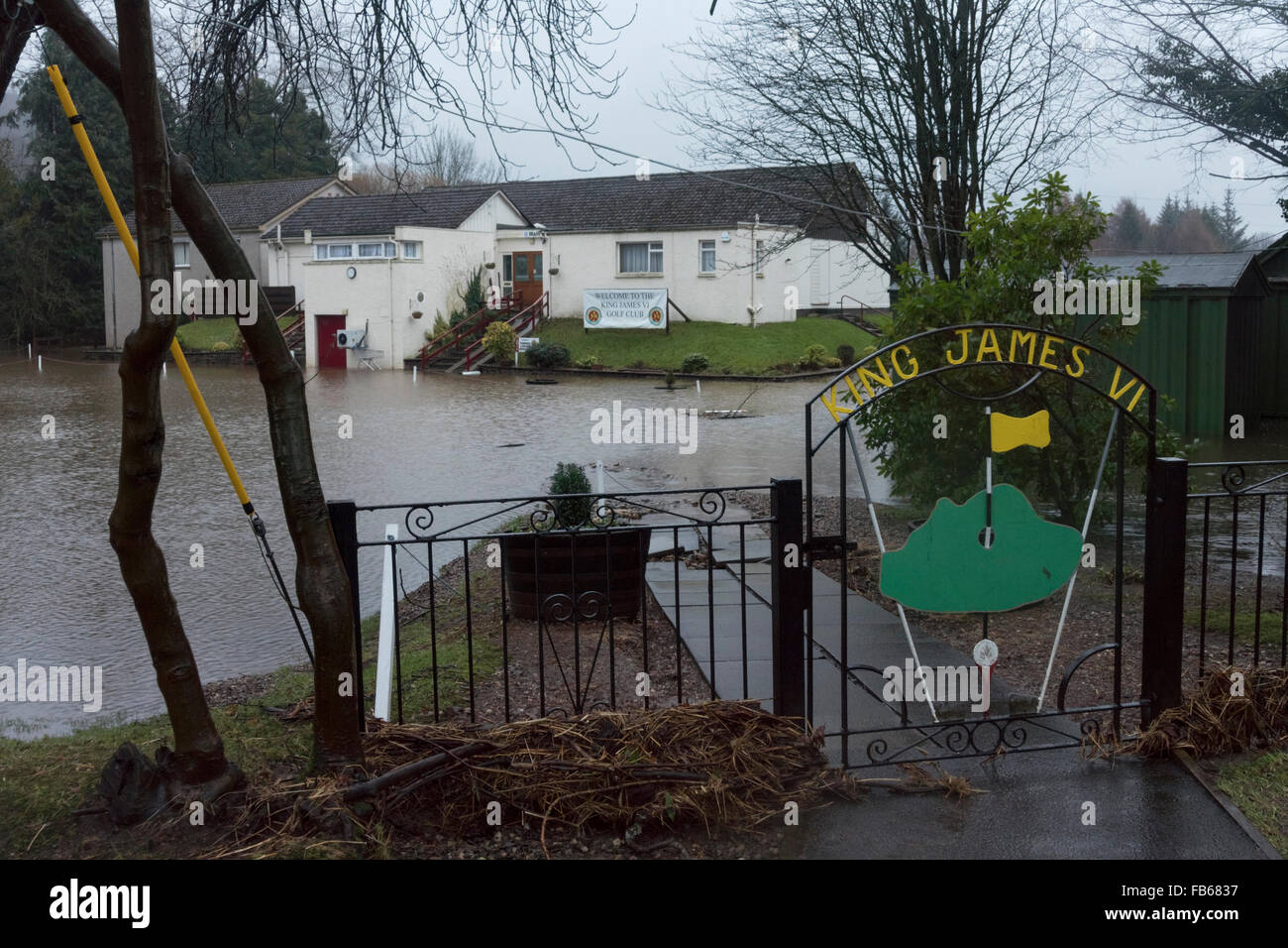 Flooding at King James VI Golf Course, Moncrieffe Island,Perth Stock ...