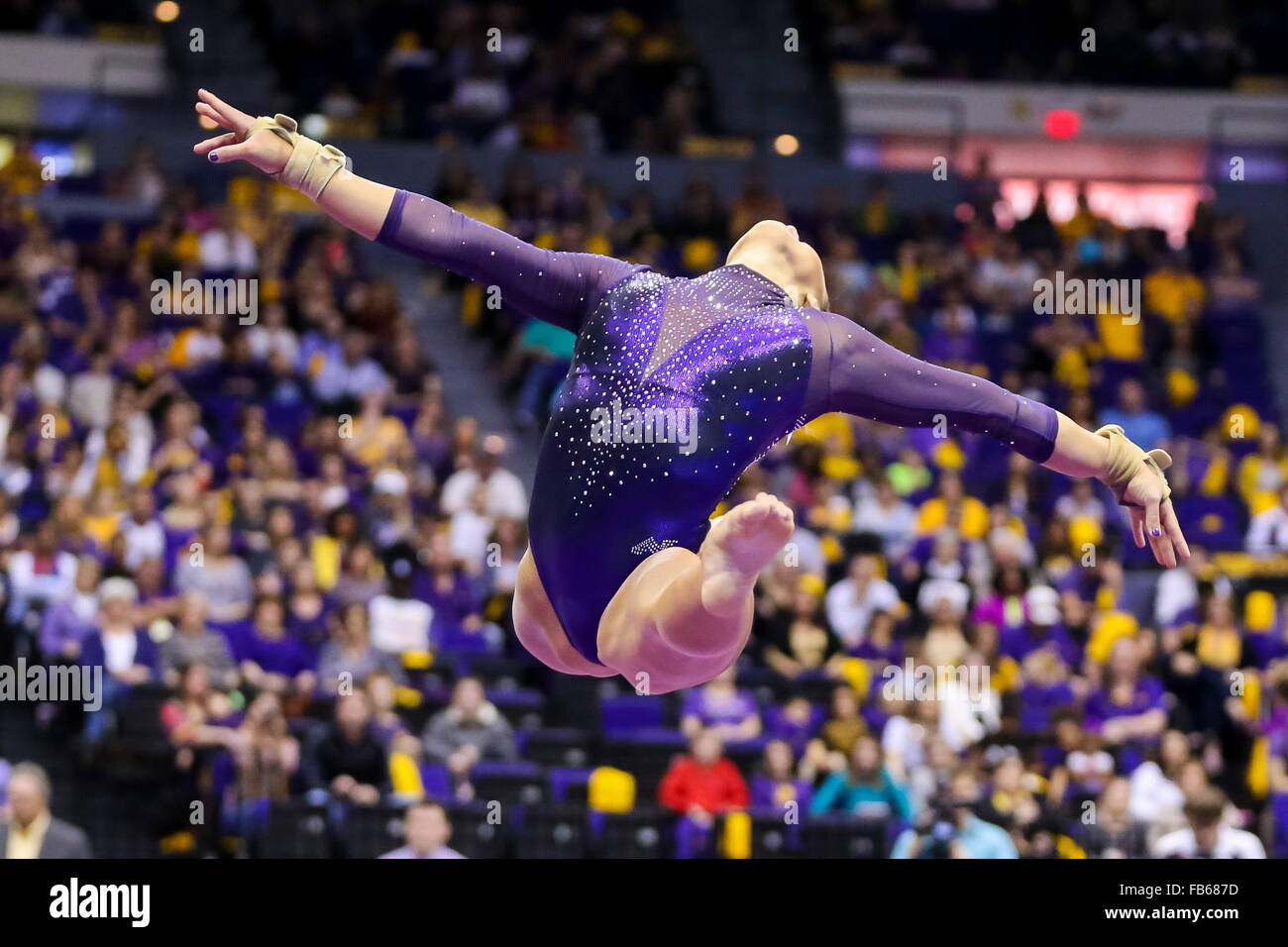 Baton Rouge, LA, USA. 09th Jan, 2016. LSU Tigers Ashleigh Gnat on the ...