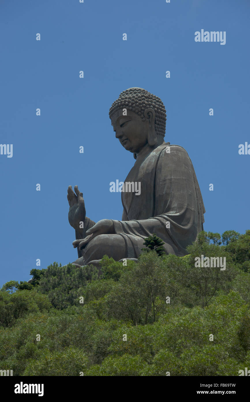 Three-quarter view of Big Buddha among trees Stock Photo - Alamy