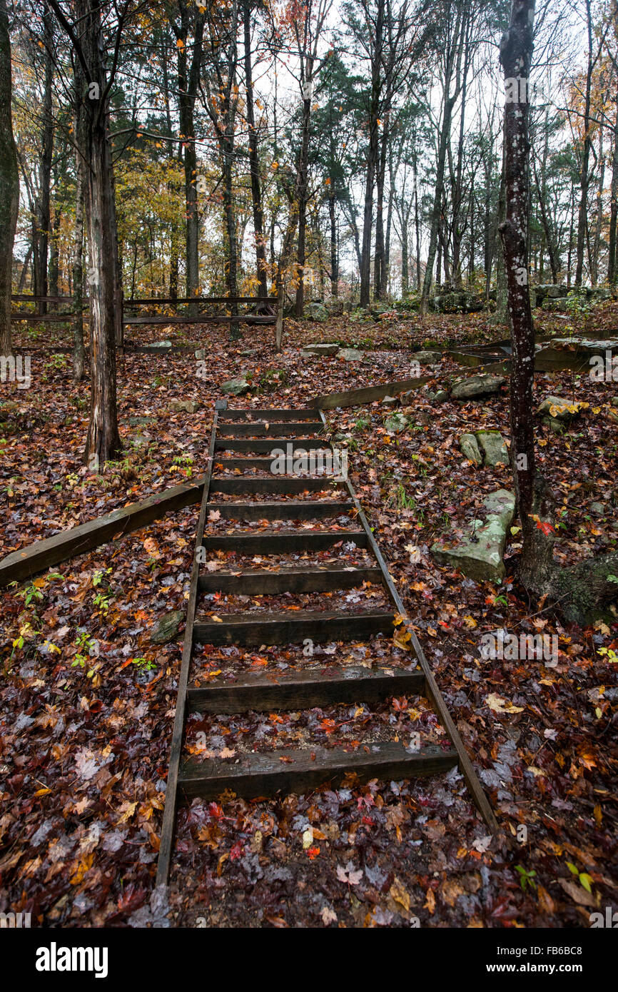 Stairs built into a hill, Mammoth Cave National Park, Kentucky, United ...