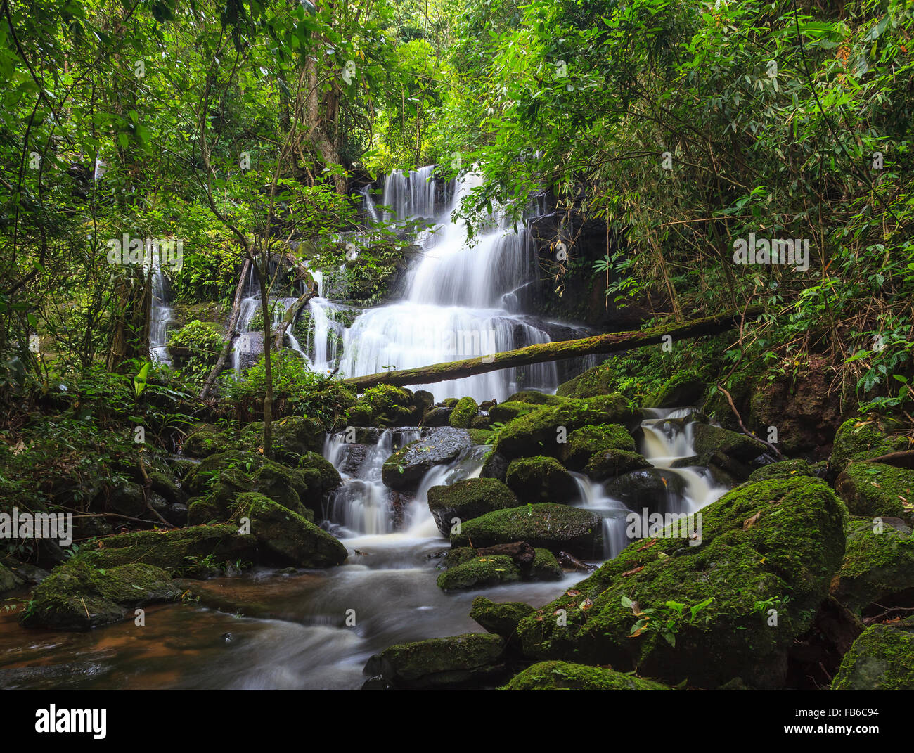 Waterfall in forest nature hi-res stock photography and images - Alamy