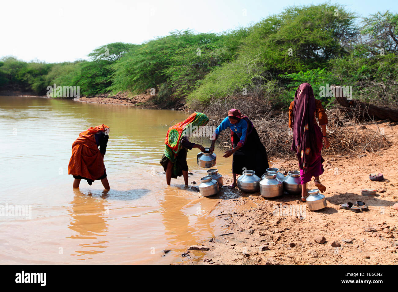 Dhebaria Rabari tribe, Women filling water pots at river bank, Kutch ...