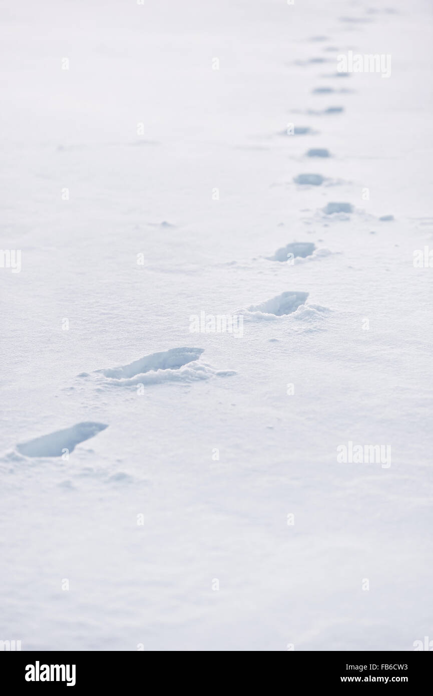 Human footprints in winter hi-res stock photography and images - Alamy