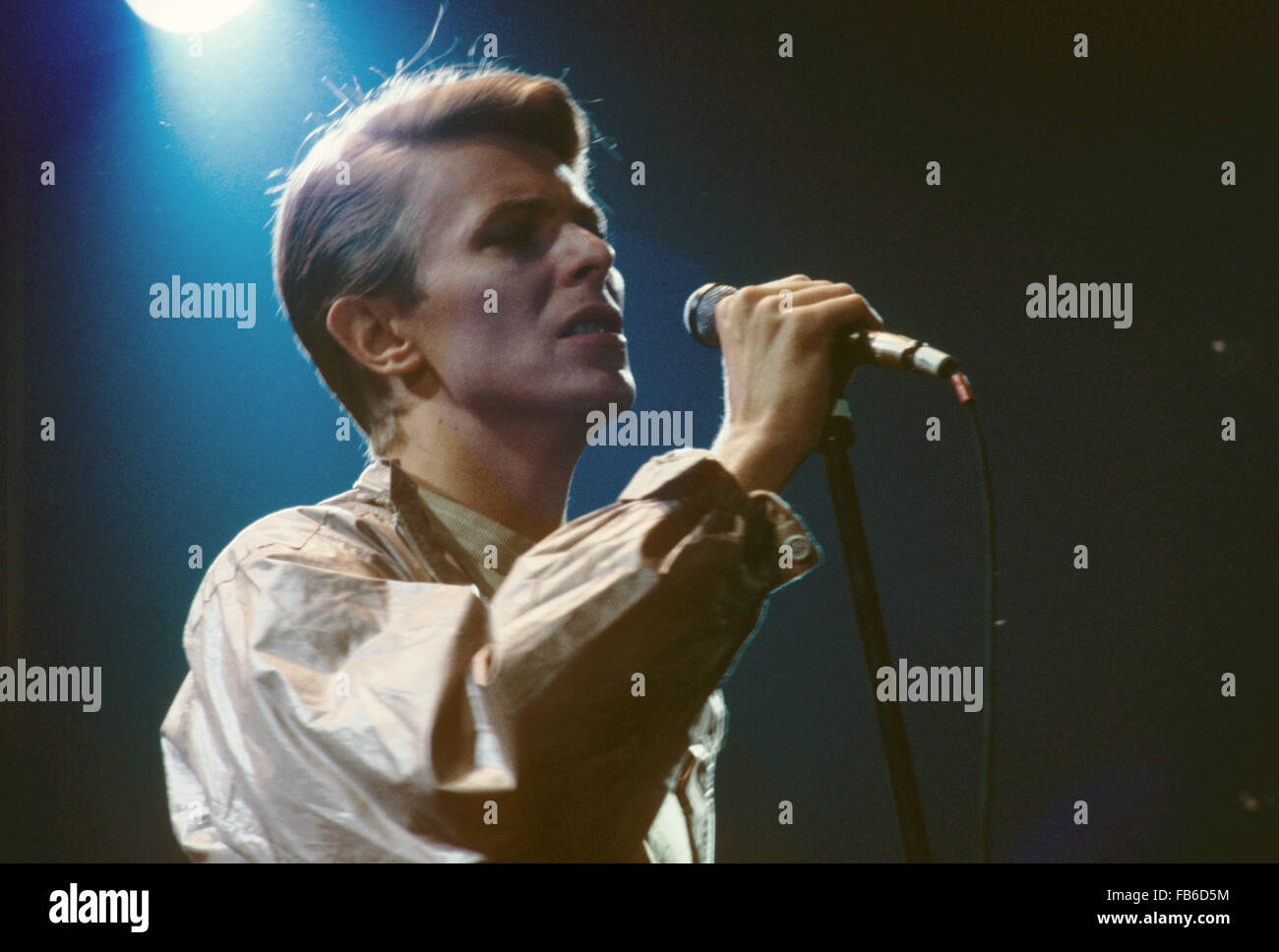 David Bowie in concert on 14 May 1978 in the Festhalle in Frankfurt ...