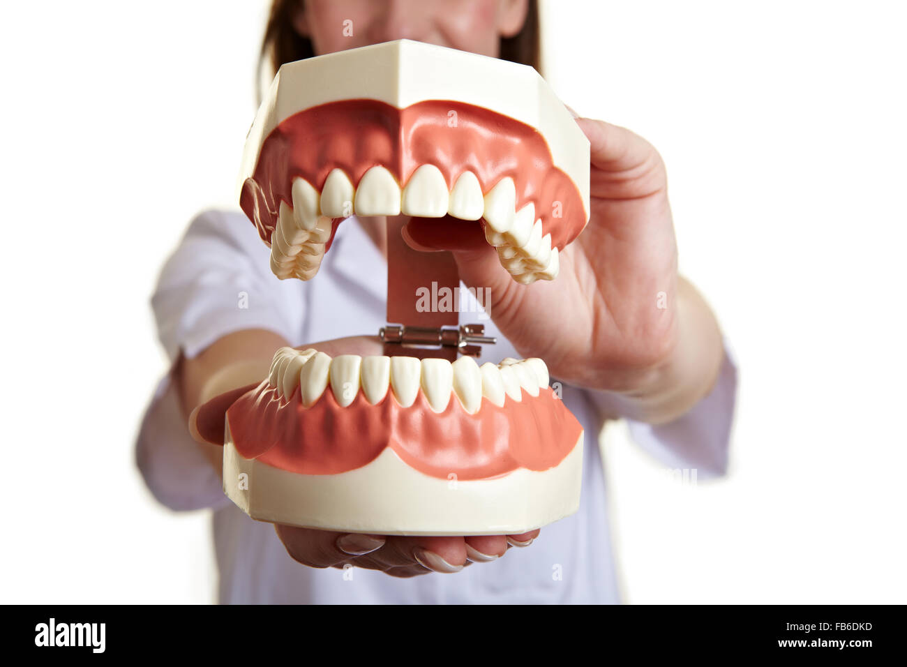 Dentist holding an oversized teeth model biting Stock Photo - Alamy