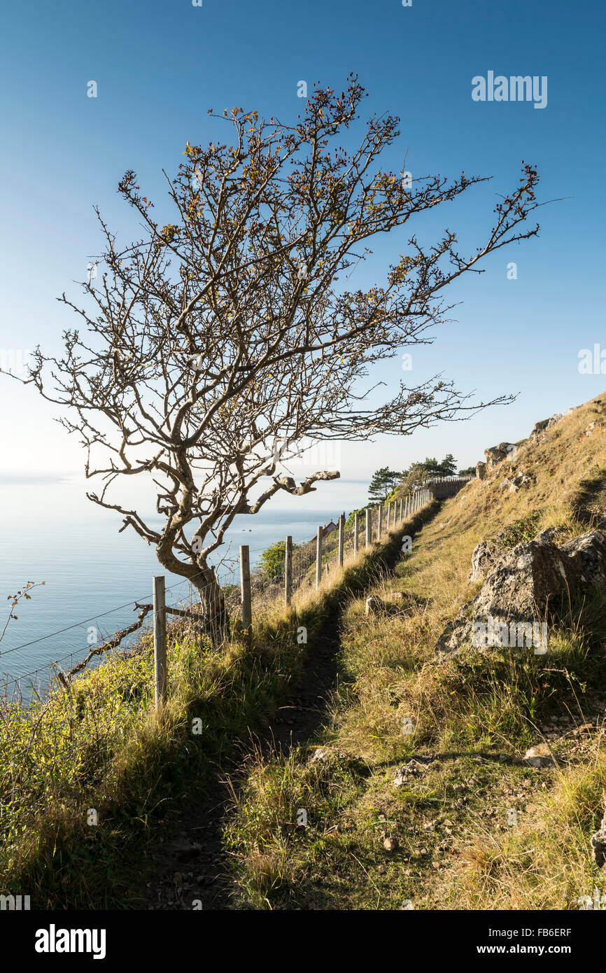 The Great Orme West Side High Resolution Stock Photography and Images ...