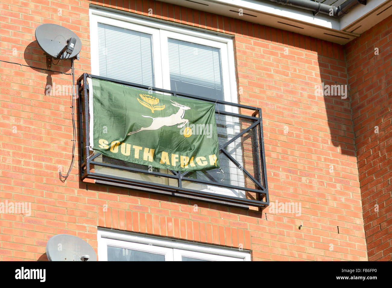 South Africa Springboks flag hanging outside flat Stock Photo - Alamy