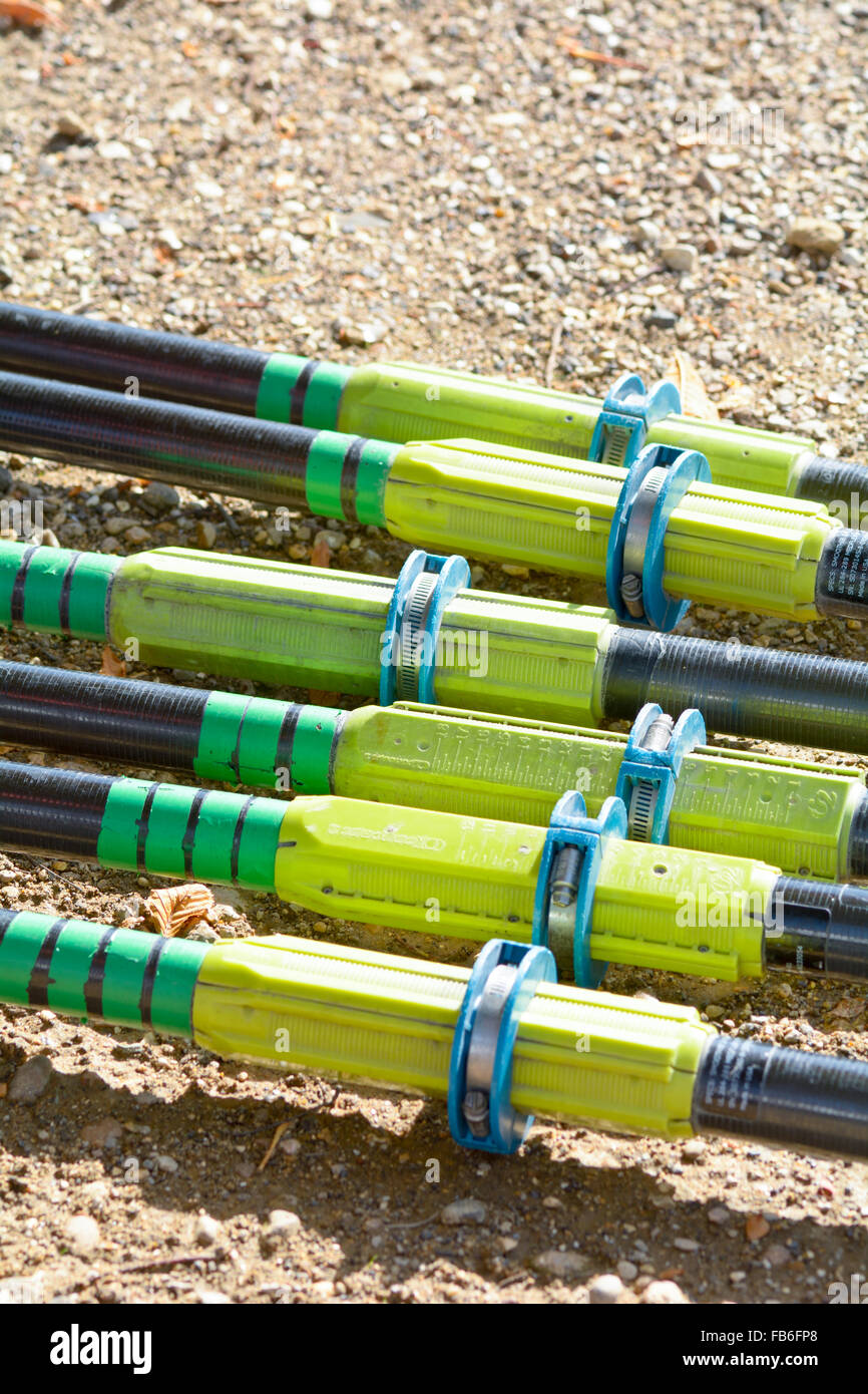 Rowing boat oar handles laid out on the bank of the River Ouse in ...