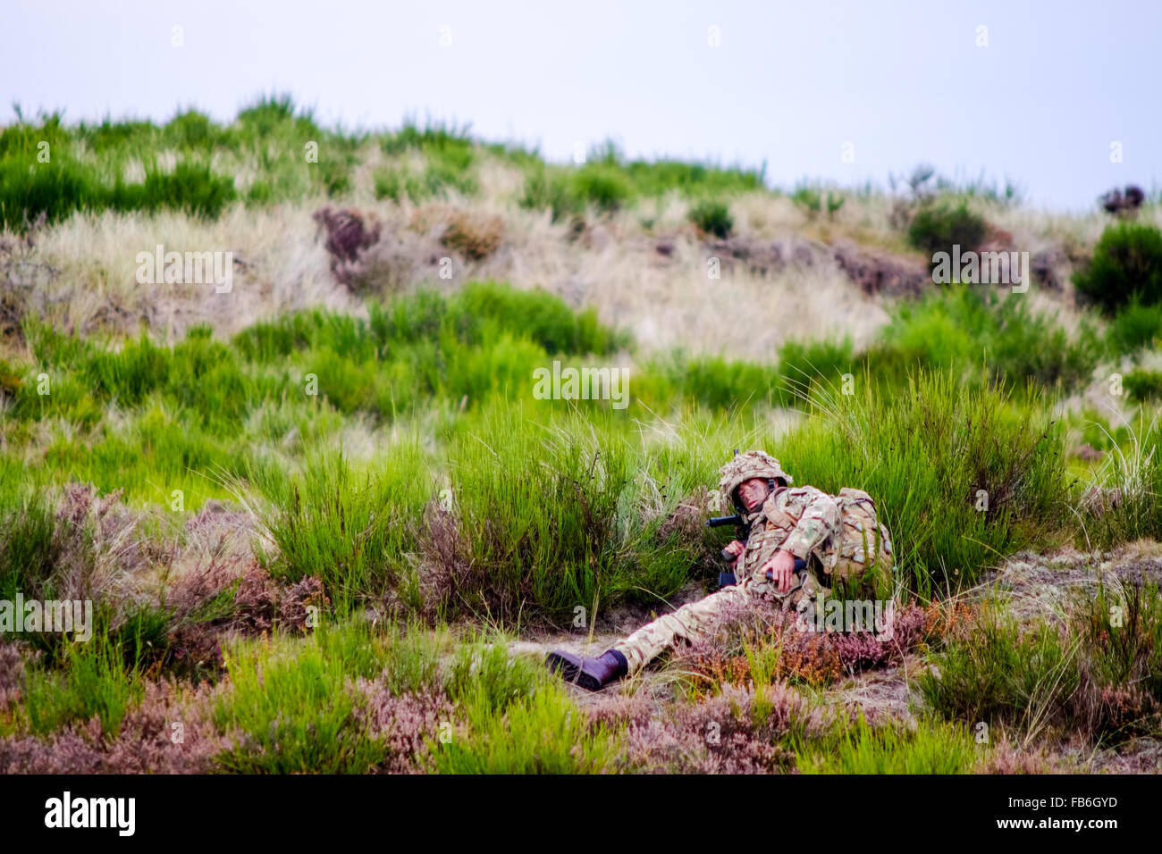 Raf regiment soldier hi-res stock photography and images - Alamy