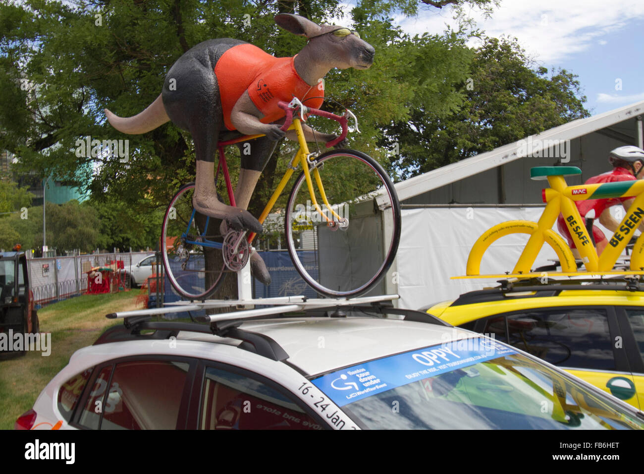 Adelaide Australia 11th January 2016. A large Kangaroo riding a bicycle ...