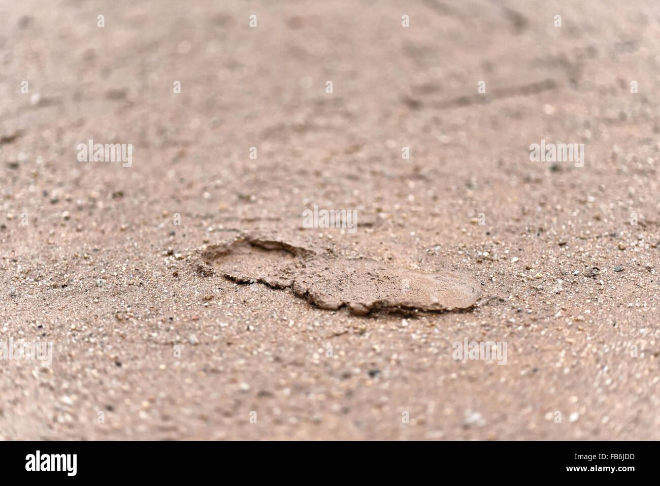 Muddy Foot Print Boot Stock Photos & Muddy Foot Print Boot Stock Images ...