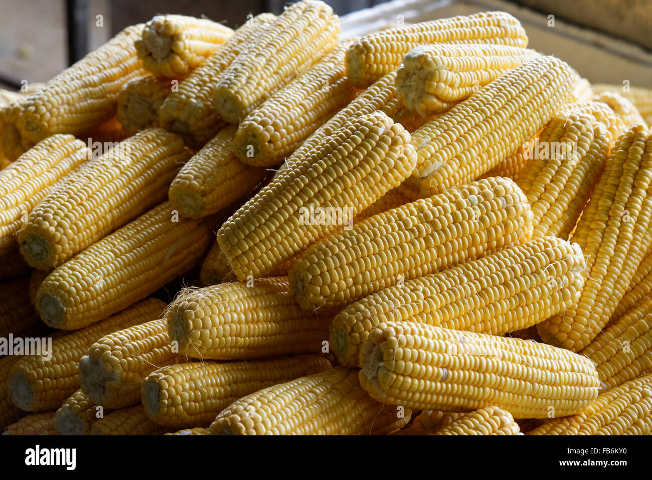 Bunch of corn ears on a market shelf Stock Photo - Alamy