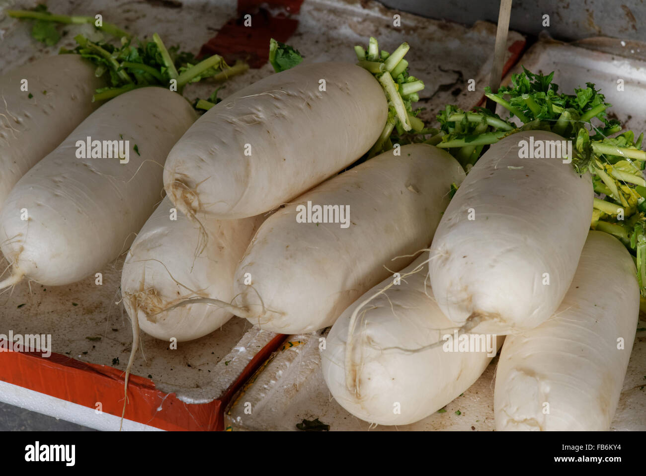 Big long Chinese turnip on the market shelf Stock Photo - Alamy