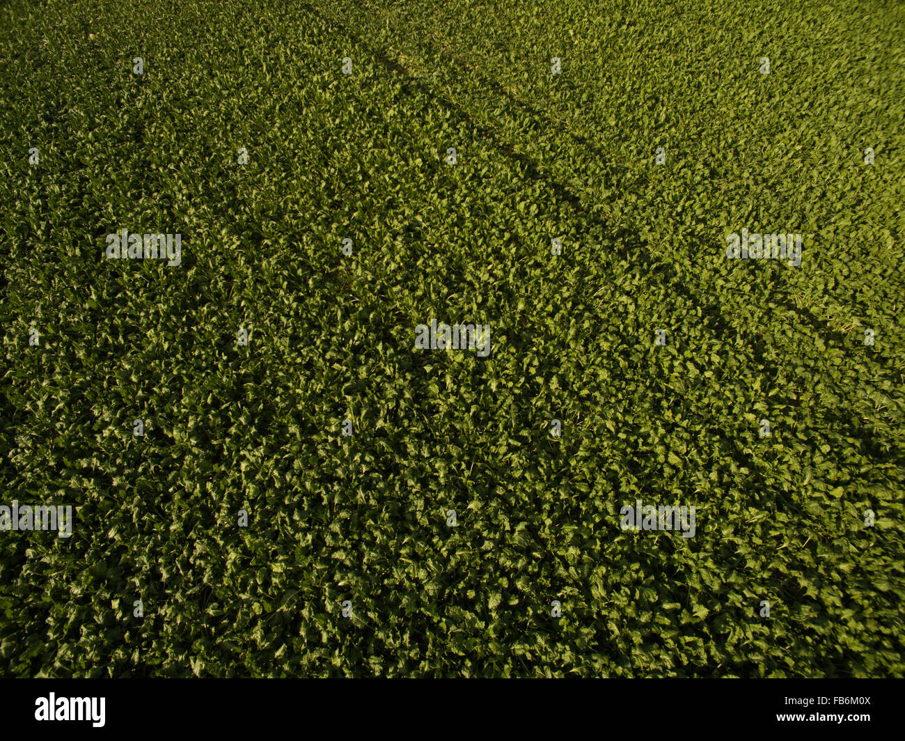 Helicopter aerial crops hi-res stock photography and images - Alamy